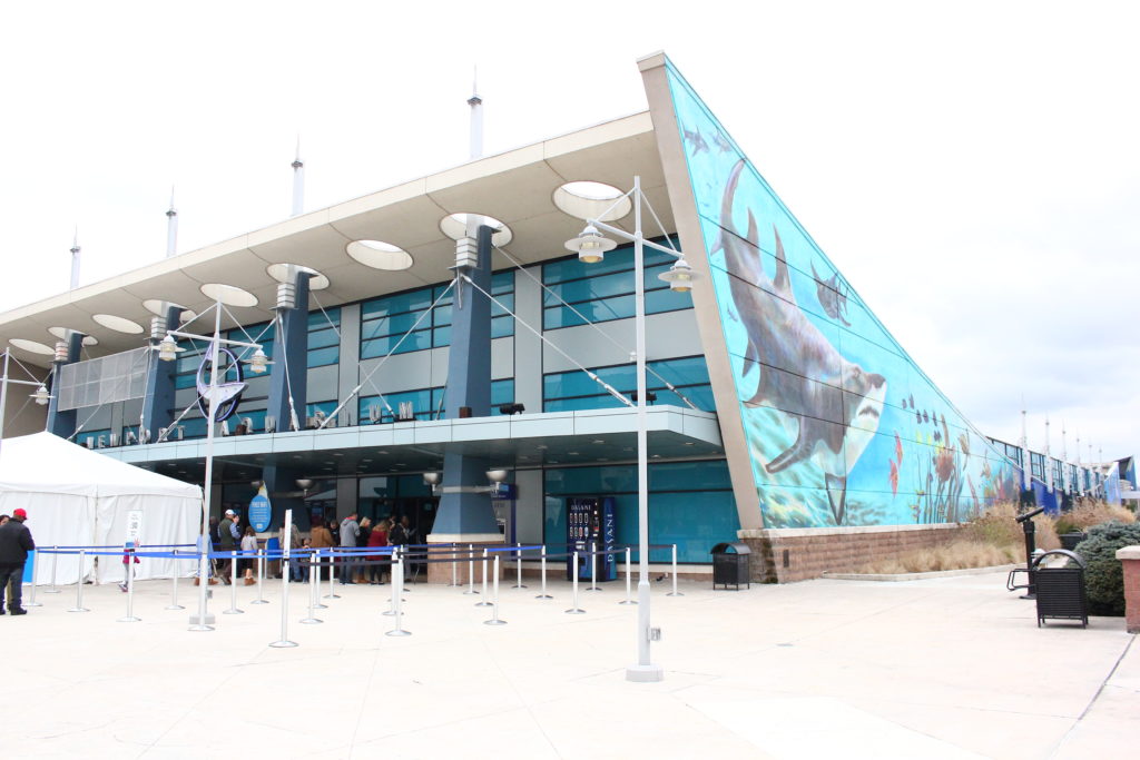 A trip to The Newport Aquarium with the Young and the Old(er) – Say-n ...